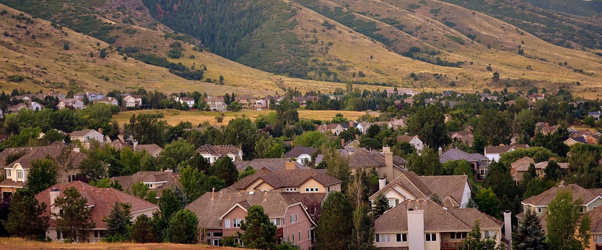 The Political Landscape of Littleton, CO: A Closer Look